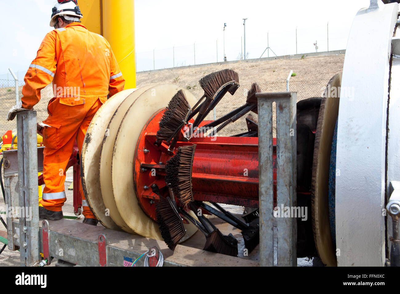 Bi Directional Pig High Resolution Stock Photography and Images - Alamy