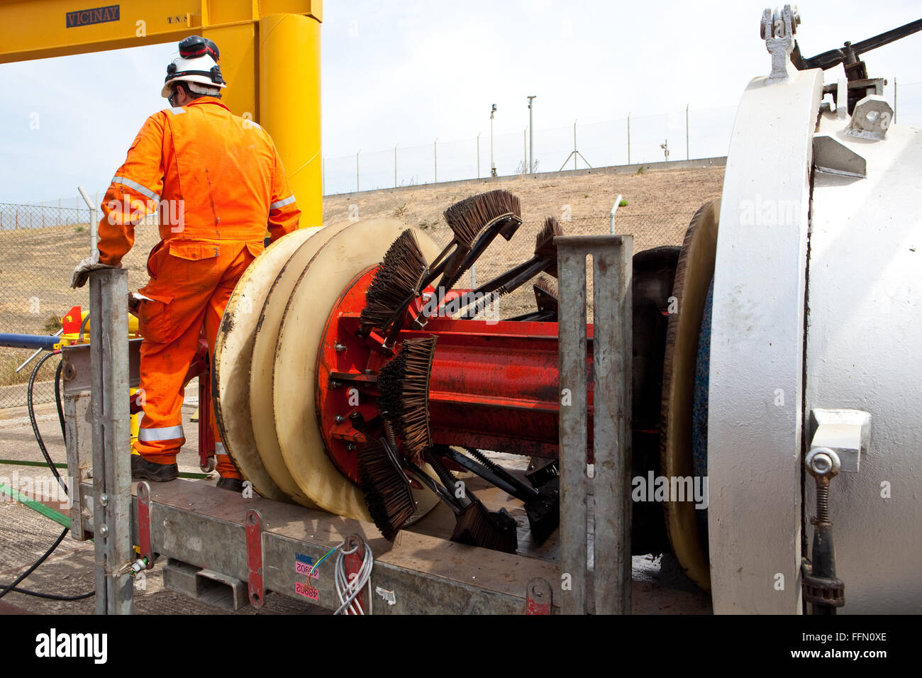 Bi Directional Pig High Resolution Stock Photography and Images - Alamy