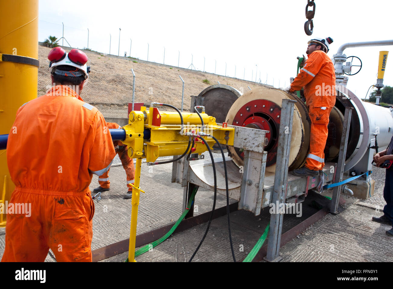 Bi directional pig hi-res stock photography and images - Alamy