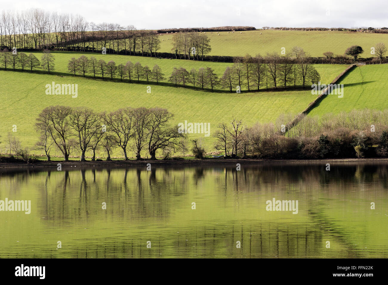 River Dart at Stoke Gabriel,Devon.Dittisham,Stoke Gabriel is a village ...