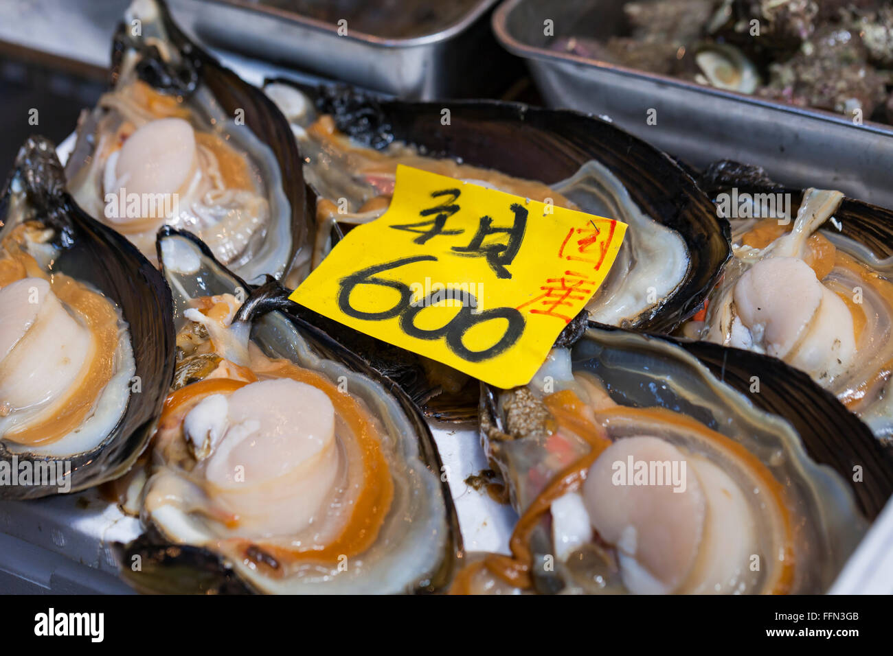Raw seafood selling on market in Japan Stock Photo - Alamy