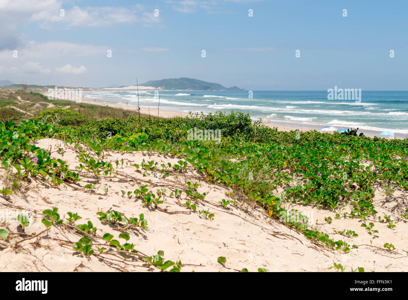 Beautiful landscape at the Campeche beach in Florianopolis, Santa ...