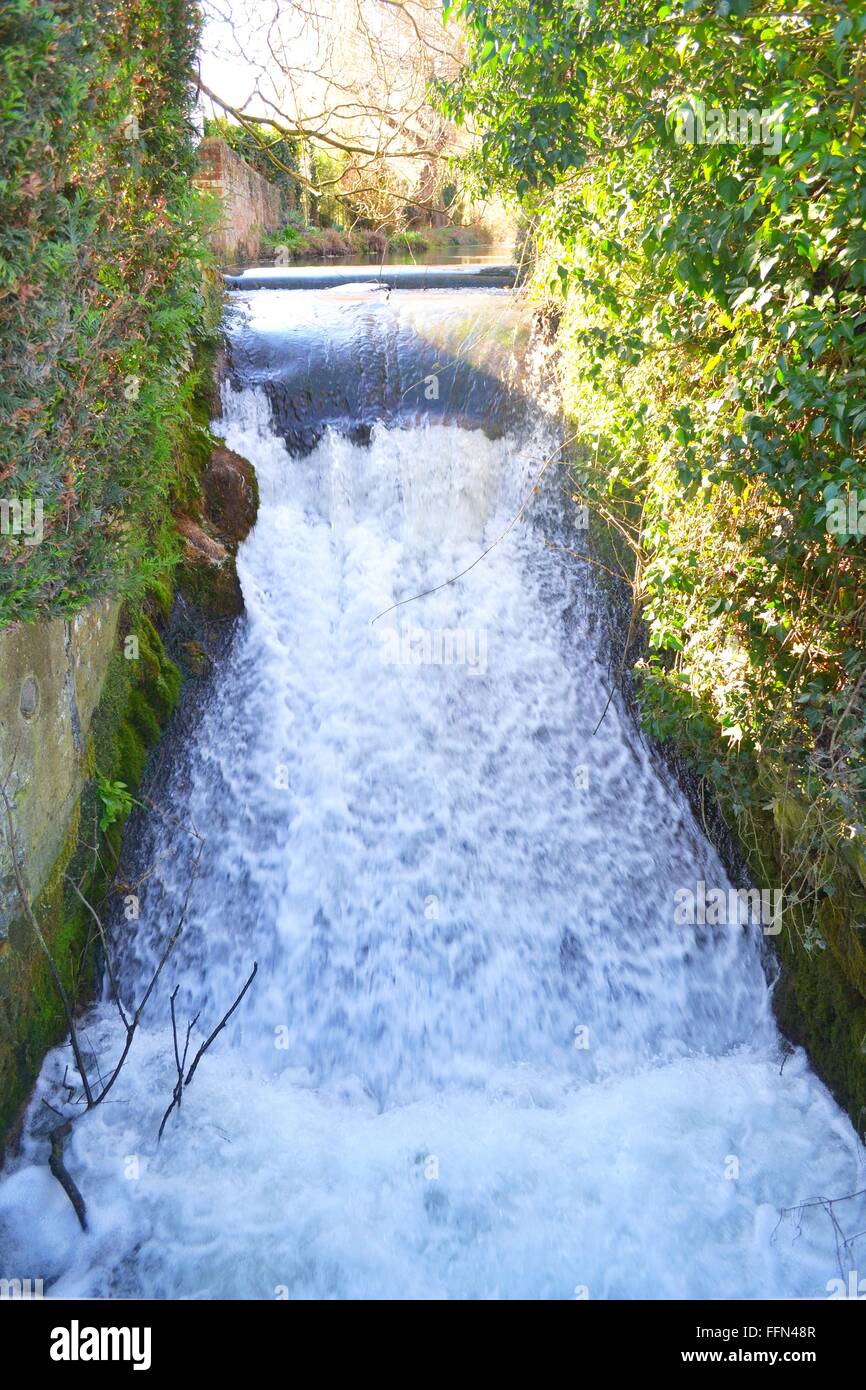 Steventon, Oxfordshire, UK. 16th February, 2016. UK Weather: Sunny and ...