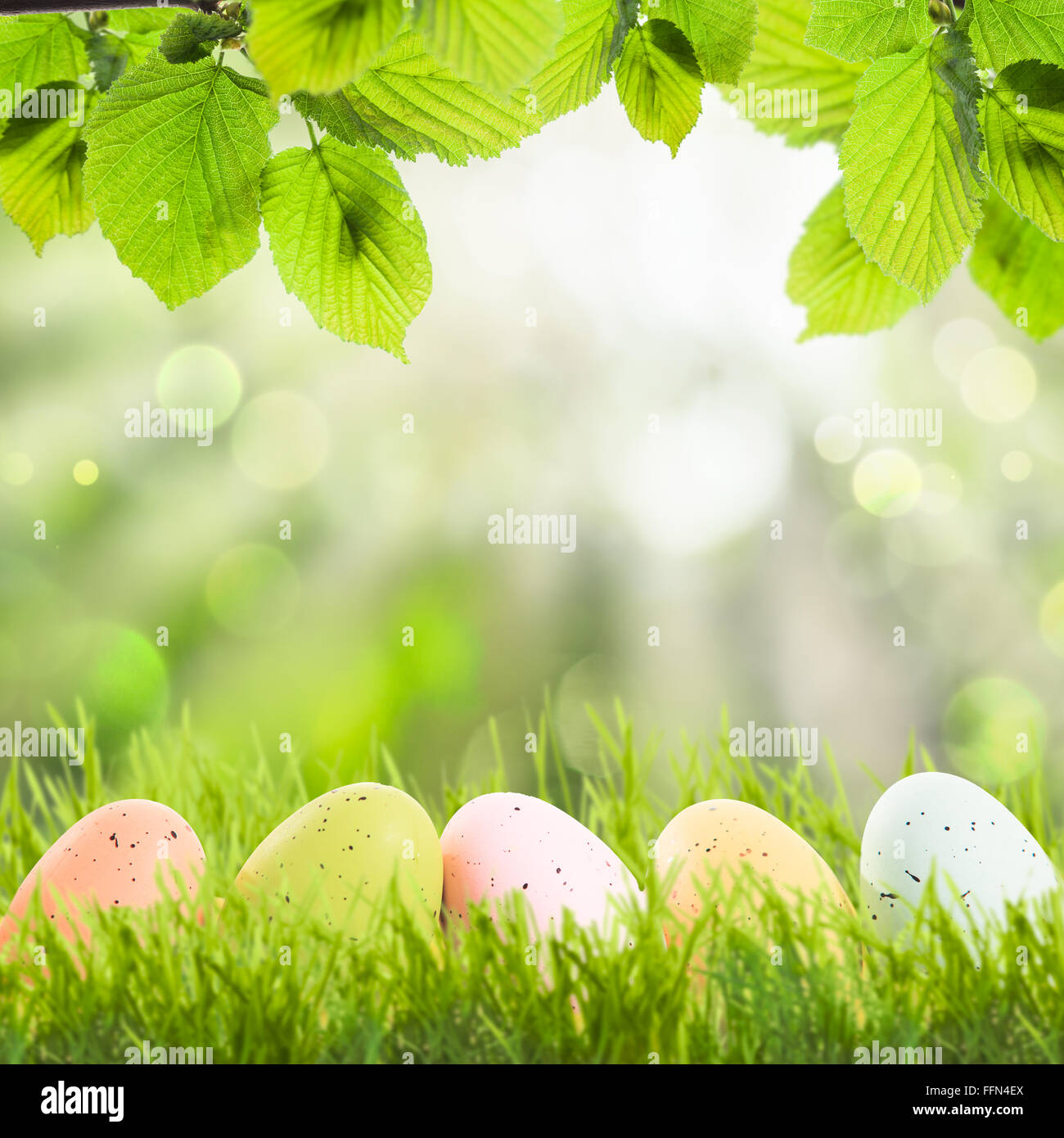 Spring Easter background Stock Photo - Alamy