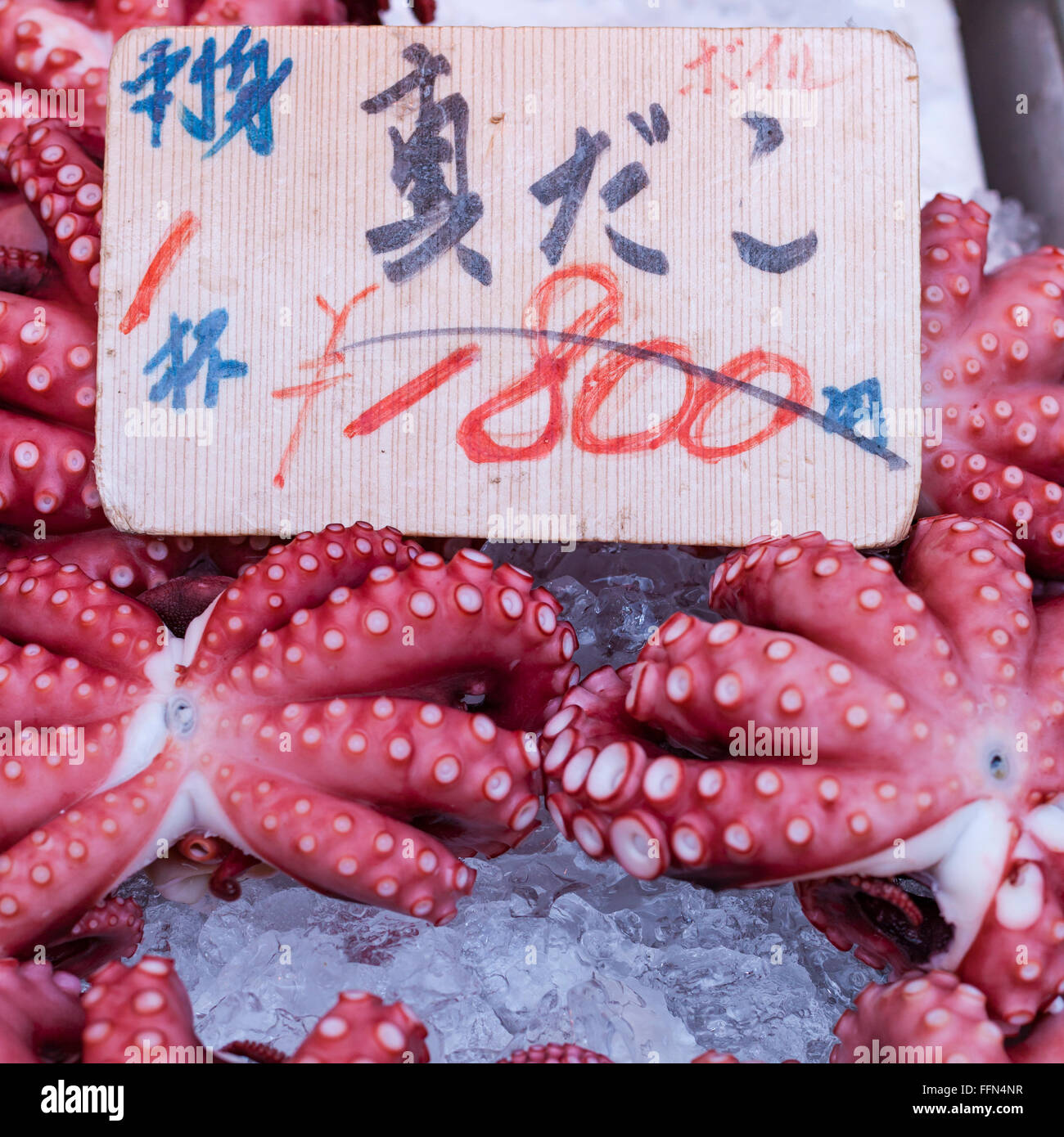 Red live octopus at Tsukiji fish market, Tokyo, Japan Stock Photo - Alamy