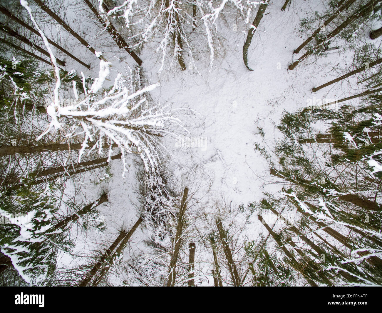 Opening in forest aerial hi-res stock photography and images - Alamy