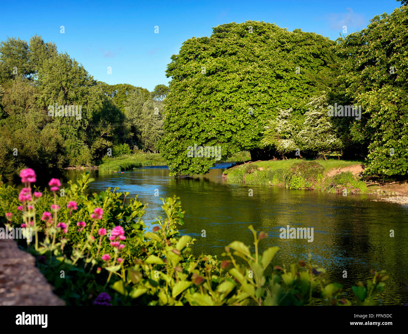 Inistioge ireland hi-res stock photography and images - Alamy