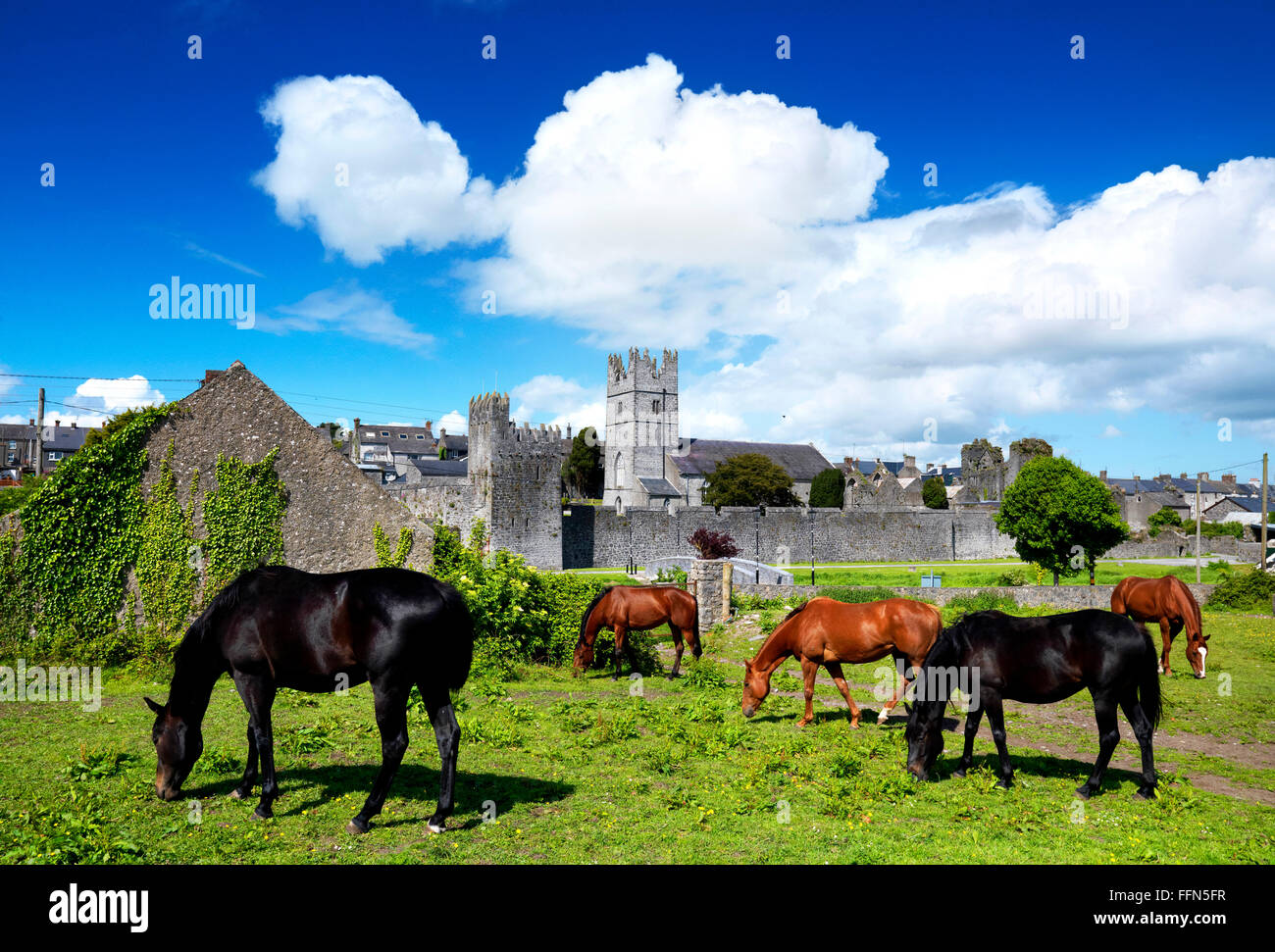 Holy Trinity Church; Augustinian Abbey; Fethard; Tipperary Stock Photo ...