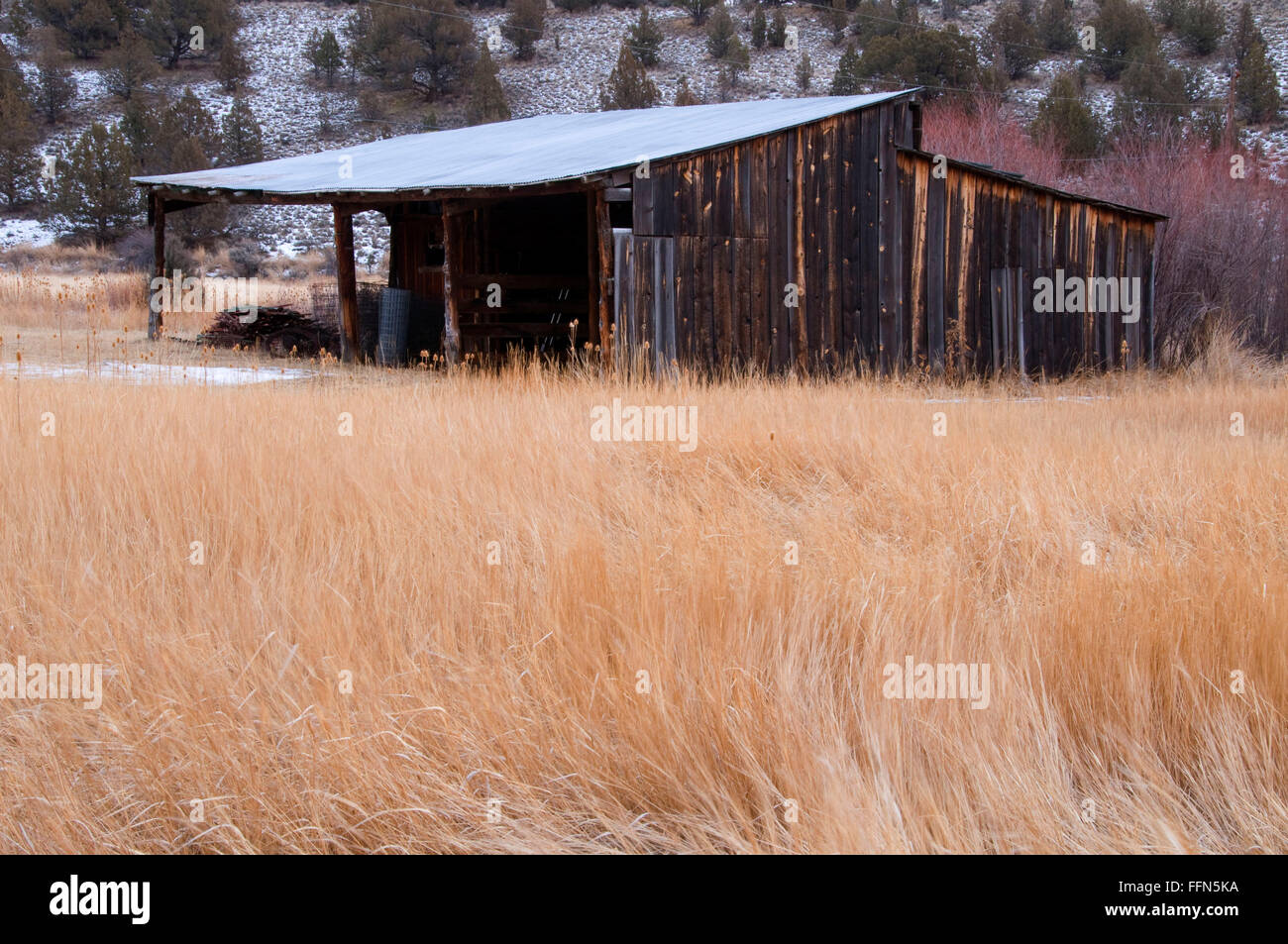 Juniper hills hi-res stock photography and images - Alamy