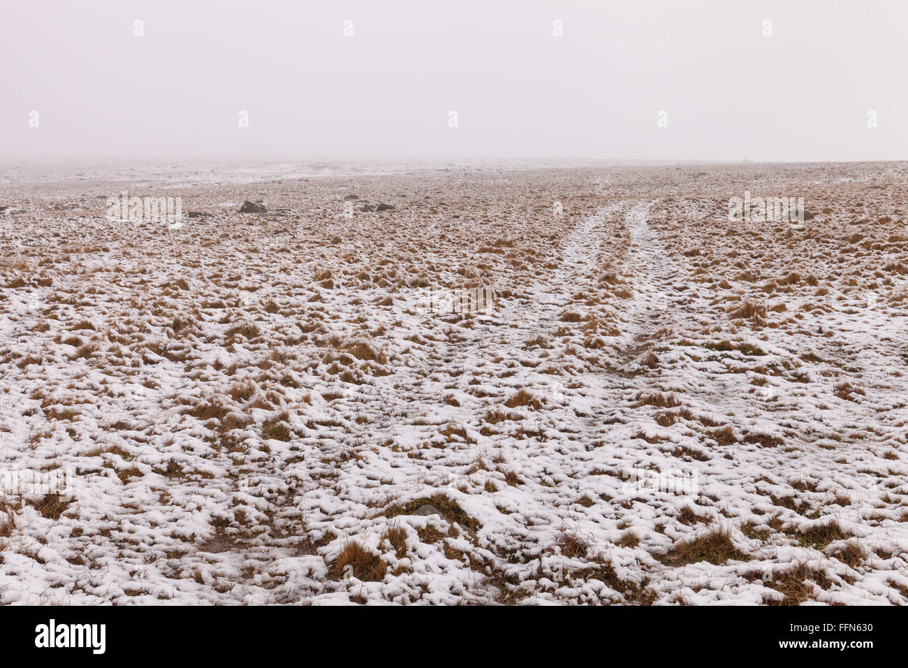 Snow covers the moorland of Dartmoor with low visibility during the ...