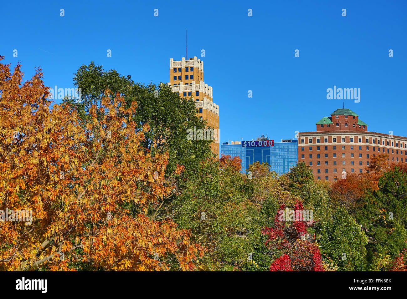 Trees in fall, at the Niagara State park, USA Stock Photo - Alamy