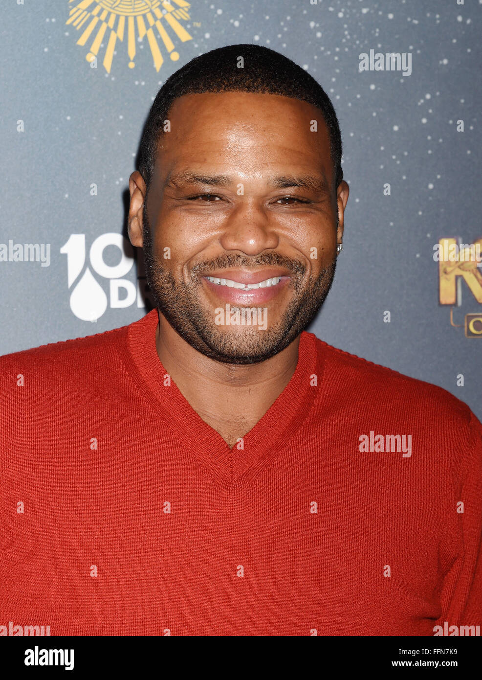 Cabinet Of Curiosities High Resolution Stock Photography and Images - Alamy