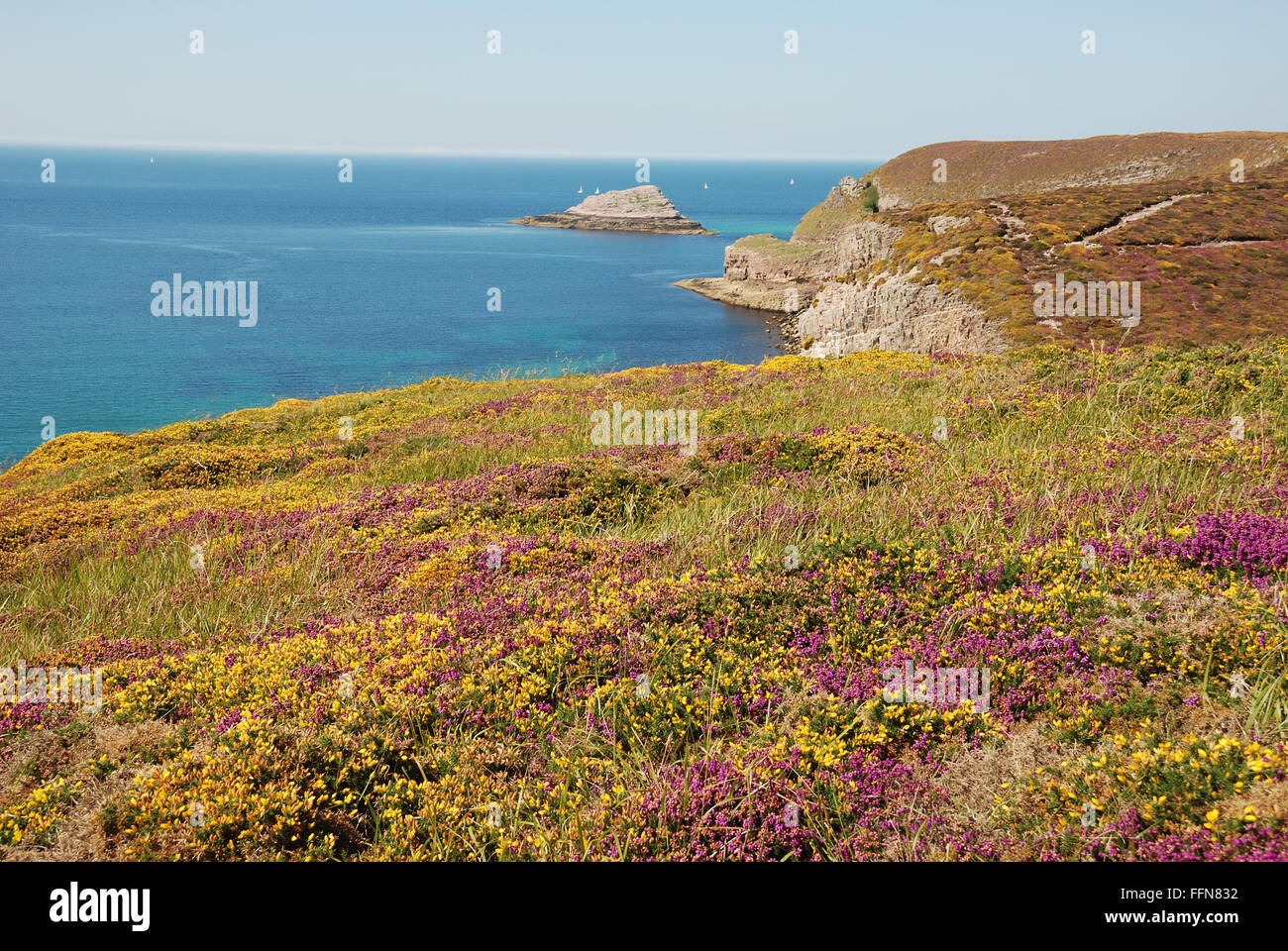 Cap frehel cote hi-res stock photography and images - Alamy