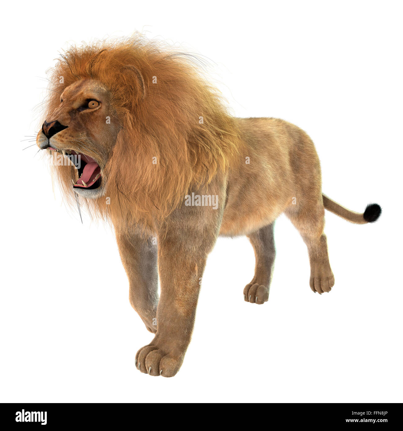 3D digital render of a male lion isolated on white background Stock ...