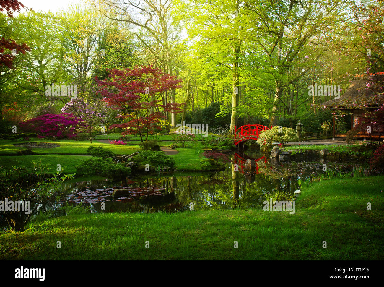 Japanese garden in spring Stock Photo - Alamy