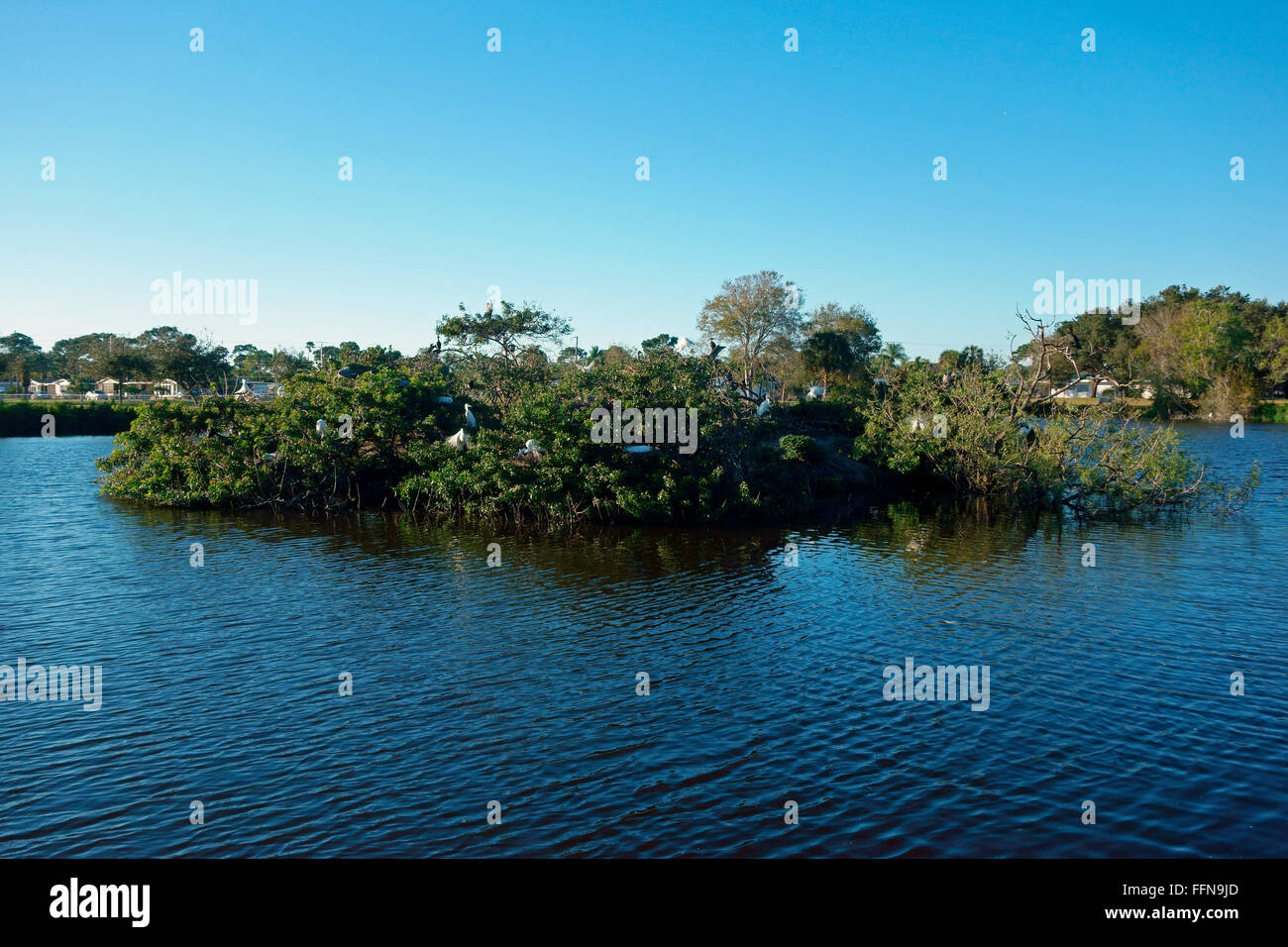 The Venice Florida USA Heronry Audubon sanctuary rookery as it is in ...