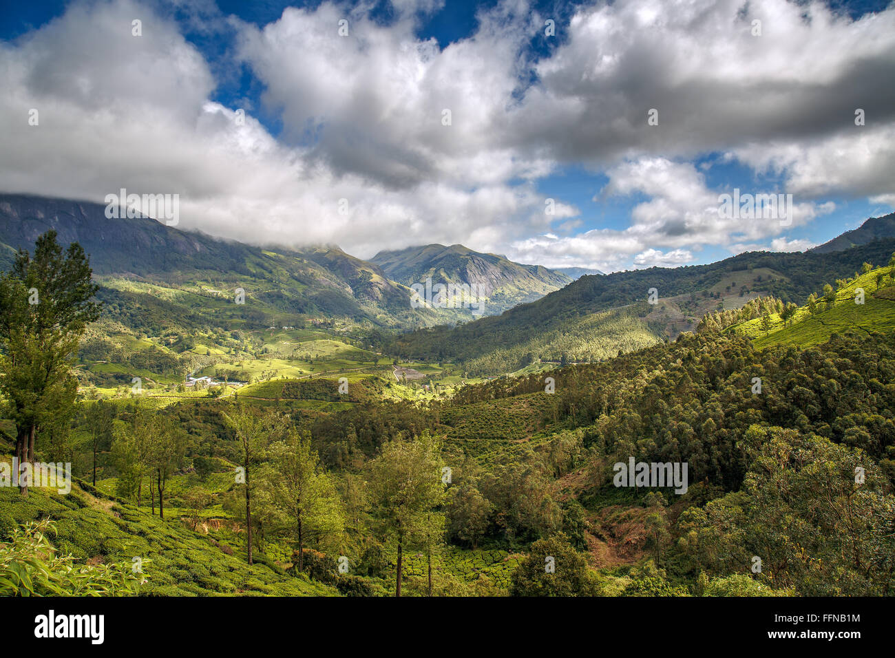 Munnar Valley, Kerala, India Stock Photo - Alamy