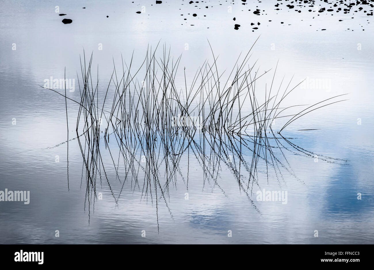 Calm tranquil landscape hi-res stock photography and images - Alamy