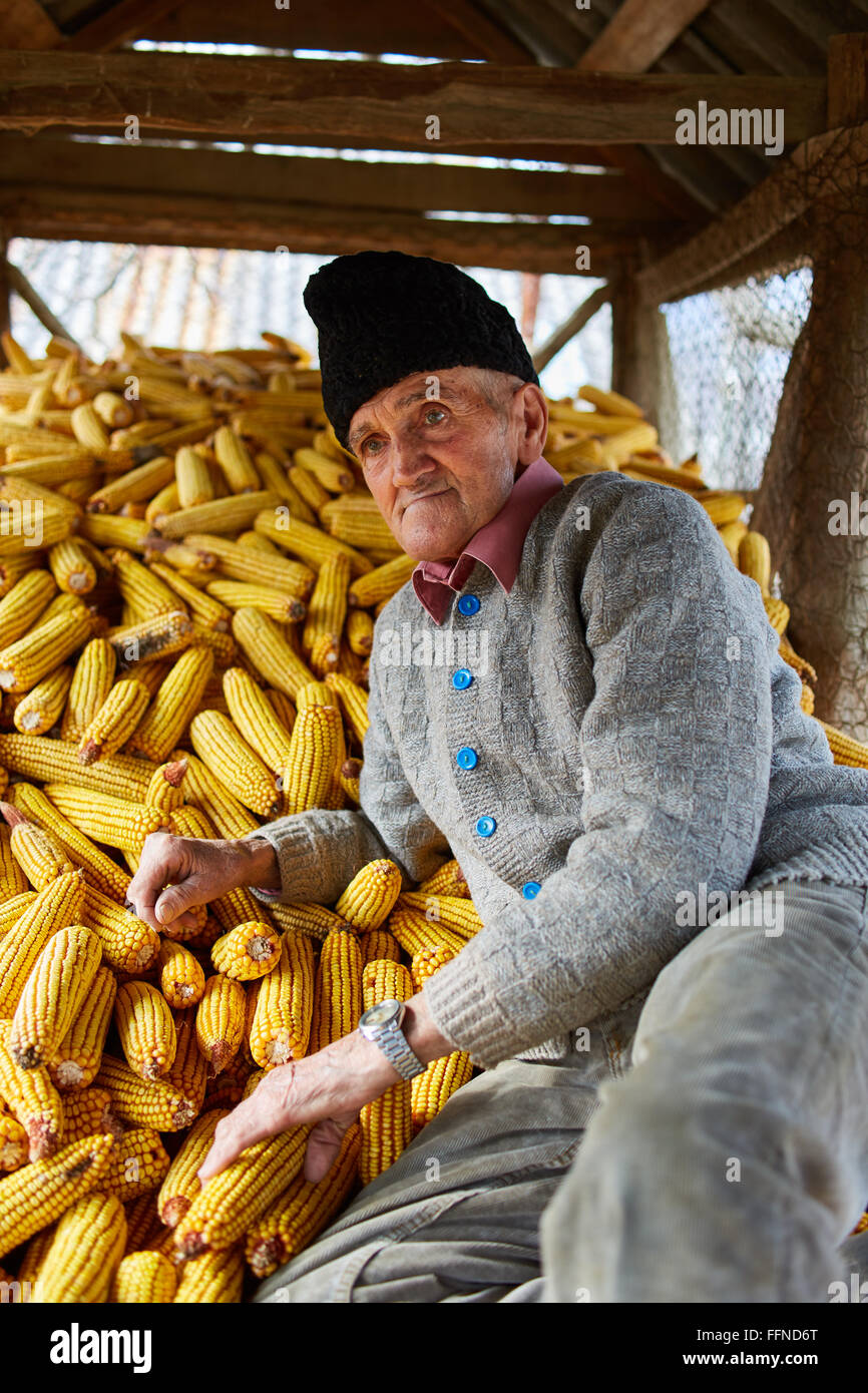 80 years old farmer in his barn full of corn cobs Stock Photo - Alamy