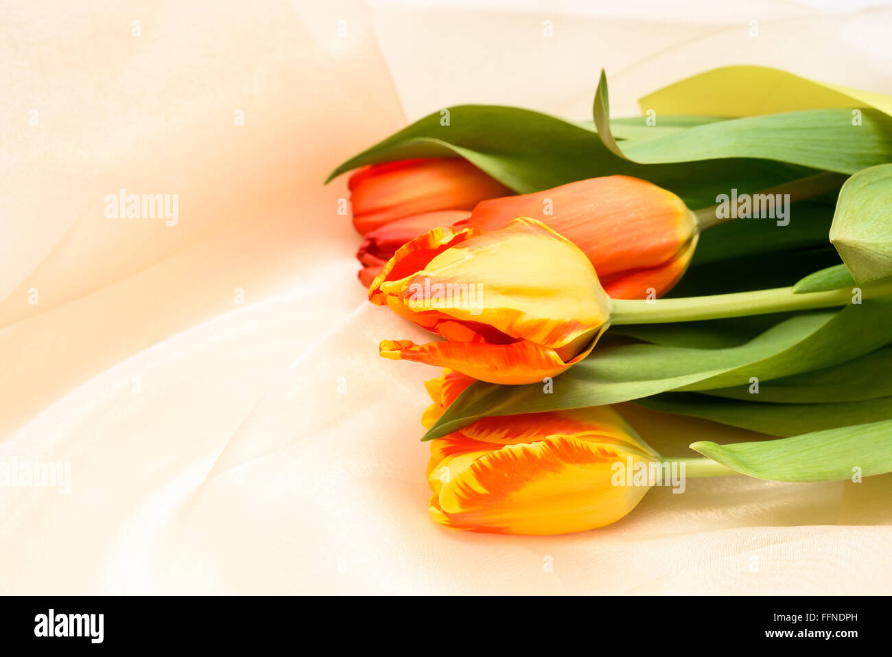 Bouquet of orange yellow tulips on beige background Stock Photo - Alamy