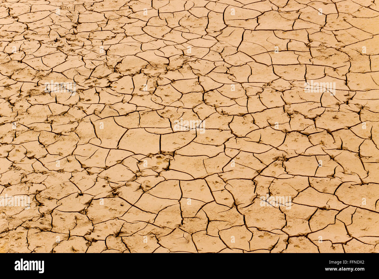 Dry mud hi-res stock photography and images - Alamy