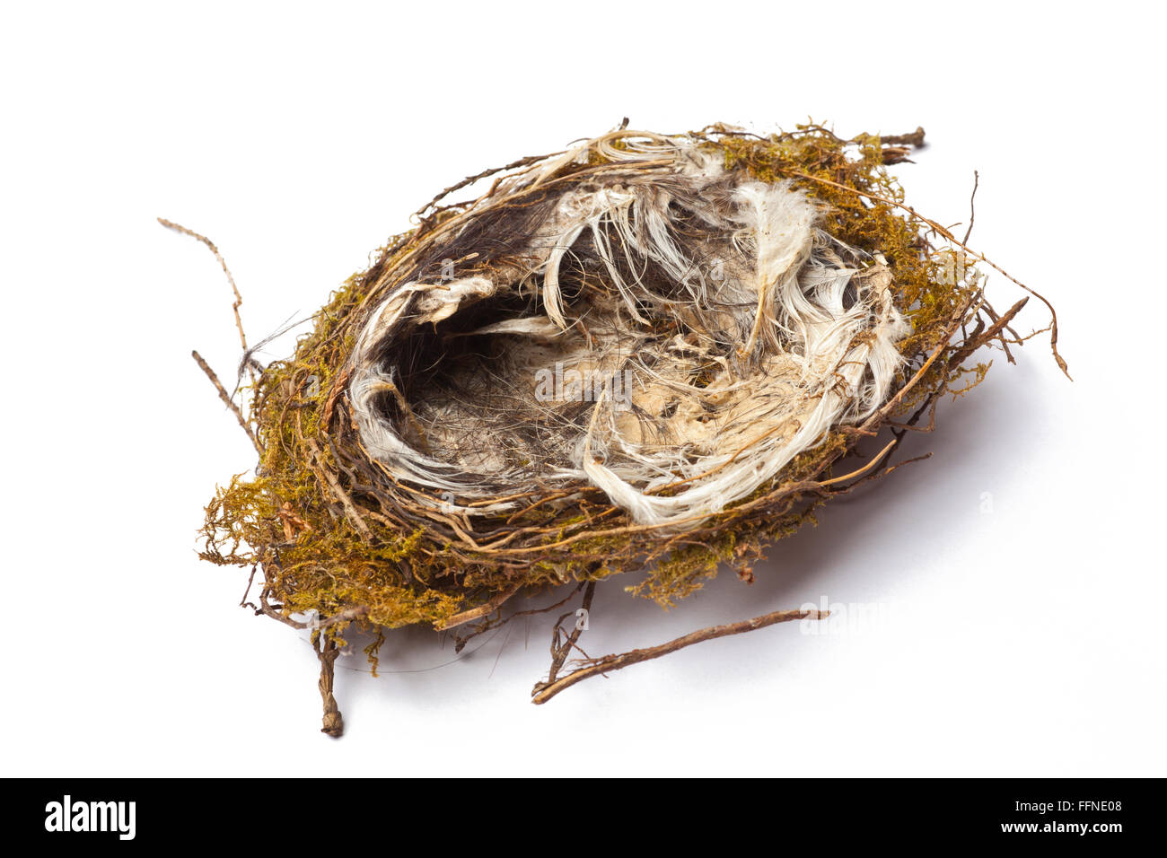 Horizontal nest Cut Out Stock Images & Pictures - Alamy