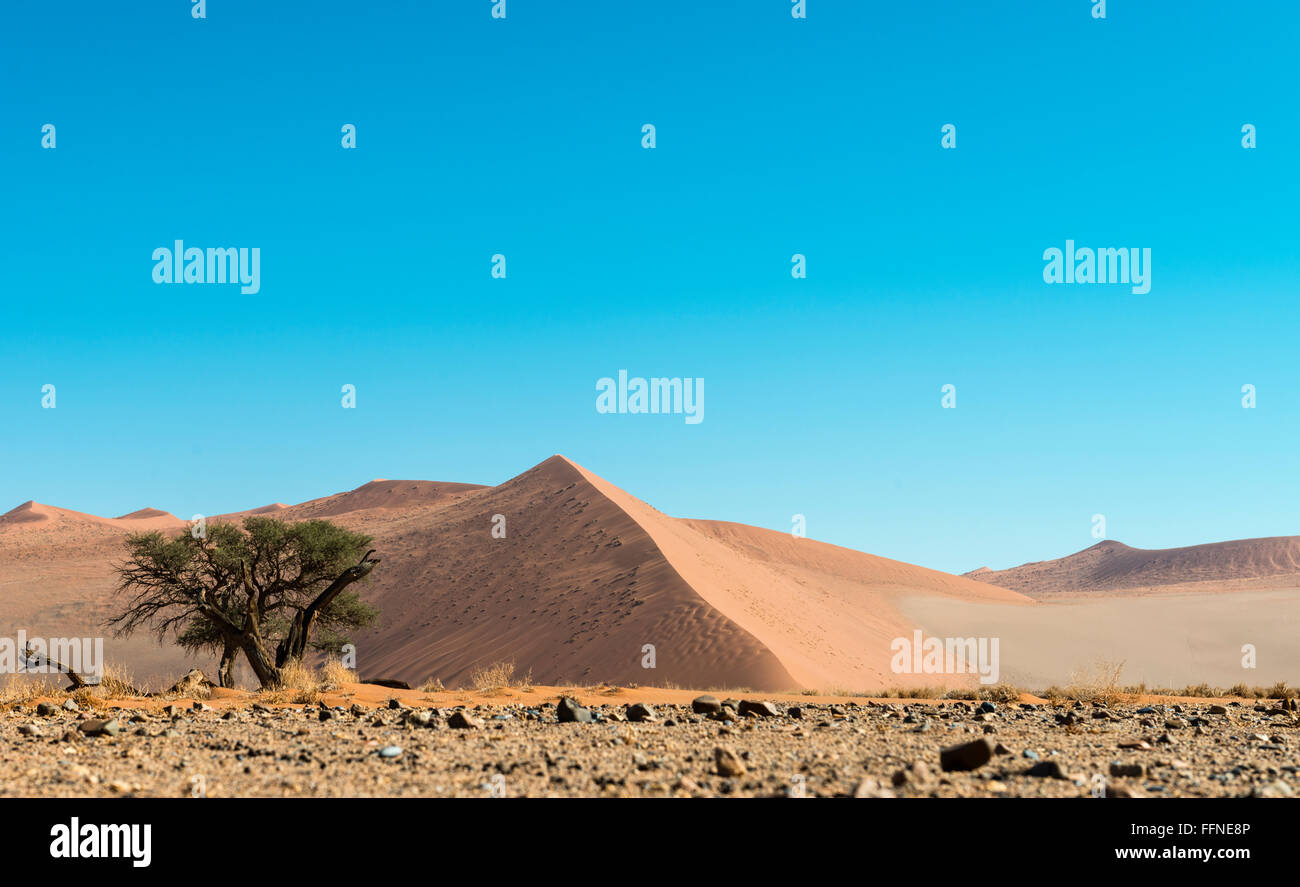 Low angle shot of dunes in the Namib Desert (Namibia Stock Photo - Alamy
