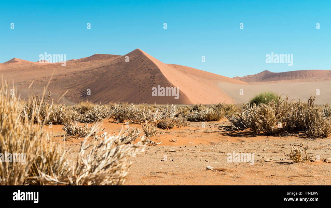 Panorama shot scenic desert hi-res stock photography and images - Alamy