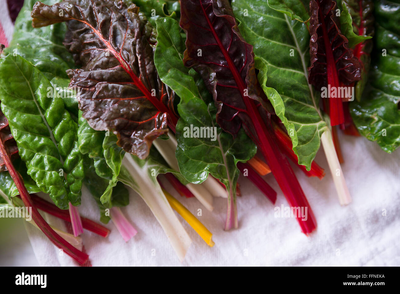 Colourful leaves of rainbow chard Stock Photo - Alamy