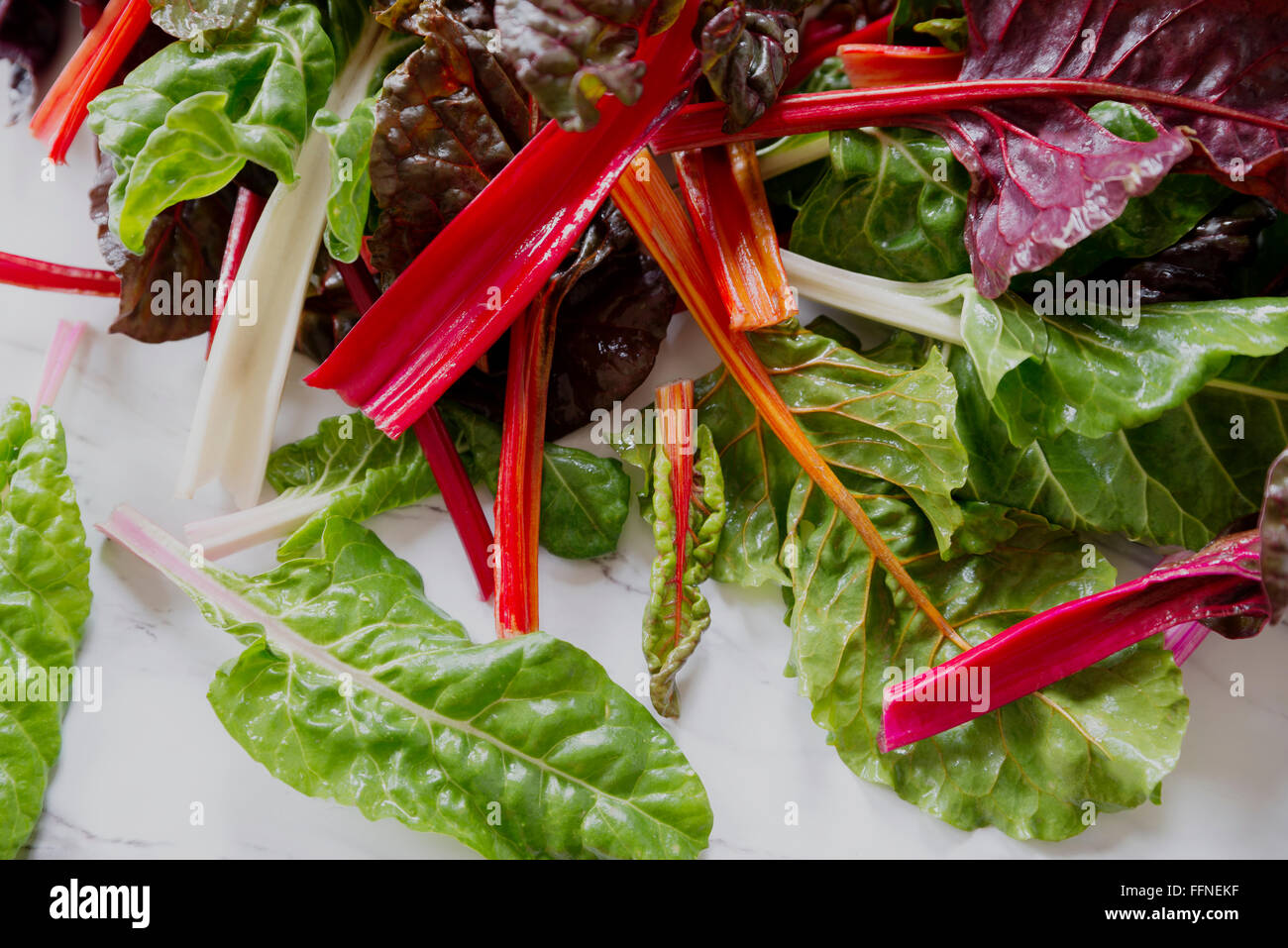 Colourful leaves of rainbow chard Stock Photo - Alamy
