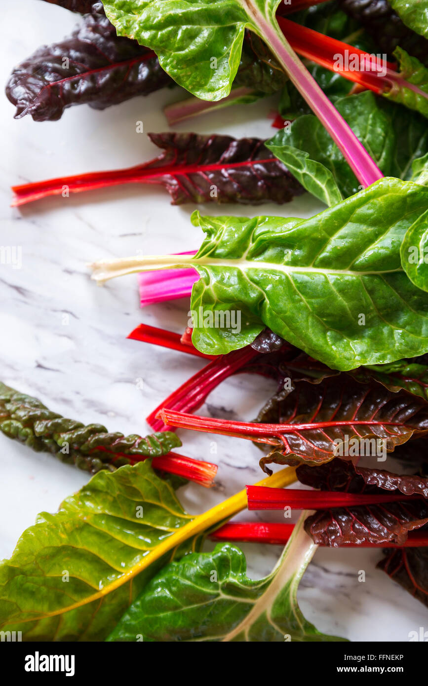 Colourful leaves of rainbow chard Stock Photo - Alamy