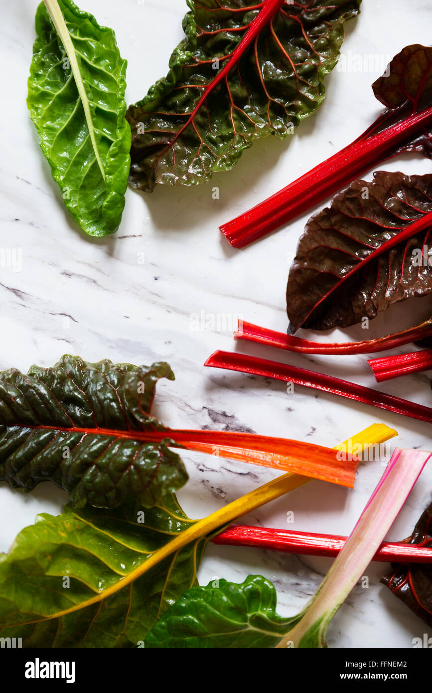 Colourful leaves of rainbow chard Stock Photo - Alamy