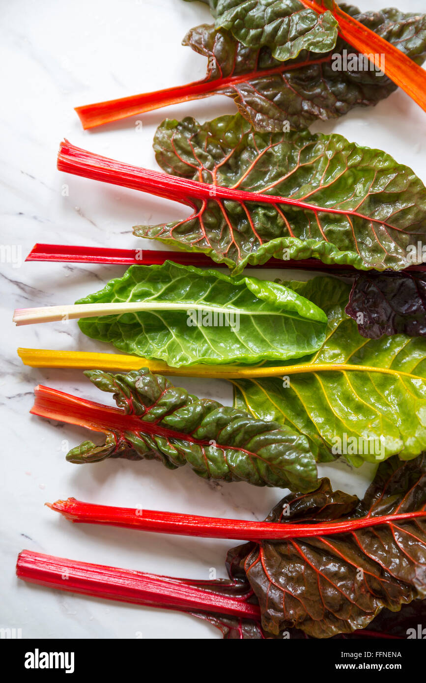 Colourful leaves of rainbow chard Stock Photo - Alamy