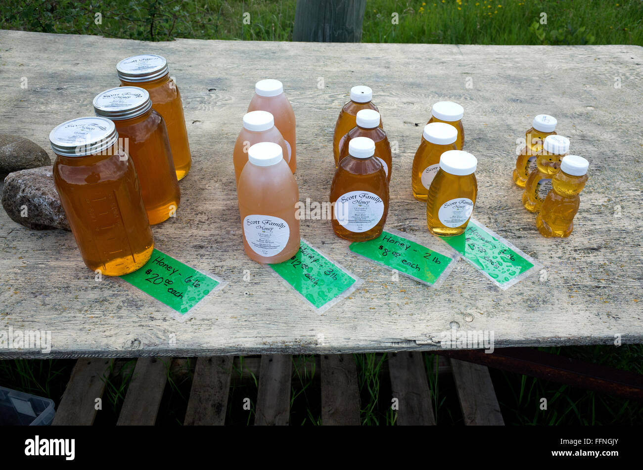 Roadside display of various sizes of honey for sale on the honor system ...