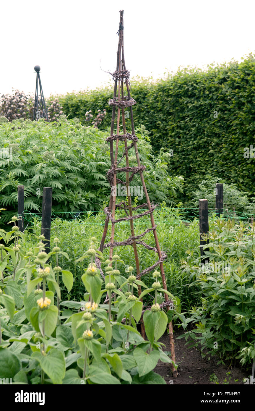 HAZEL AND BIRCH STICKS USED AS SUPPORTS IN THE BORDER Stock Photo - Alamy