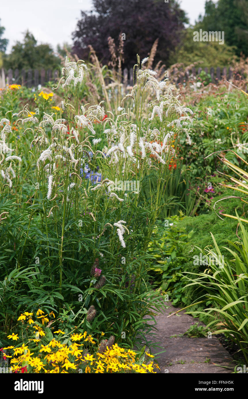 Ivory towers hi-res stock photography and images - Alamy