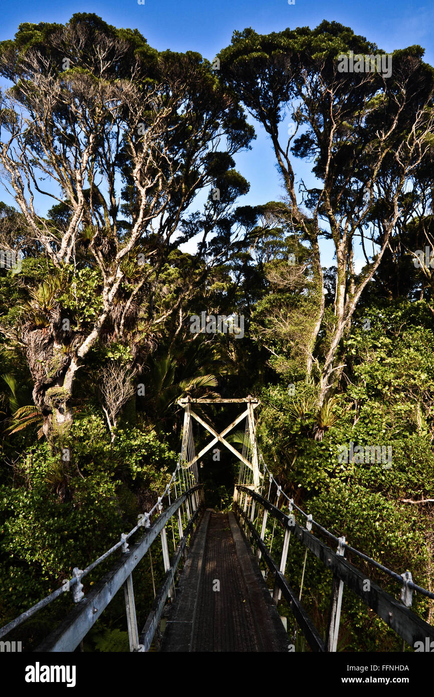 Heaphy hi-res stock photography and images - Alamy