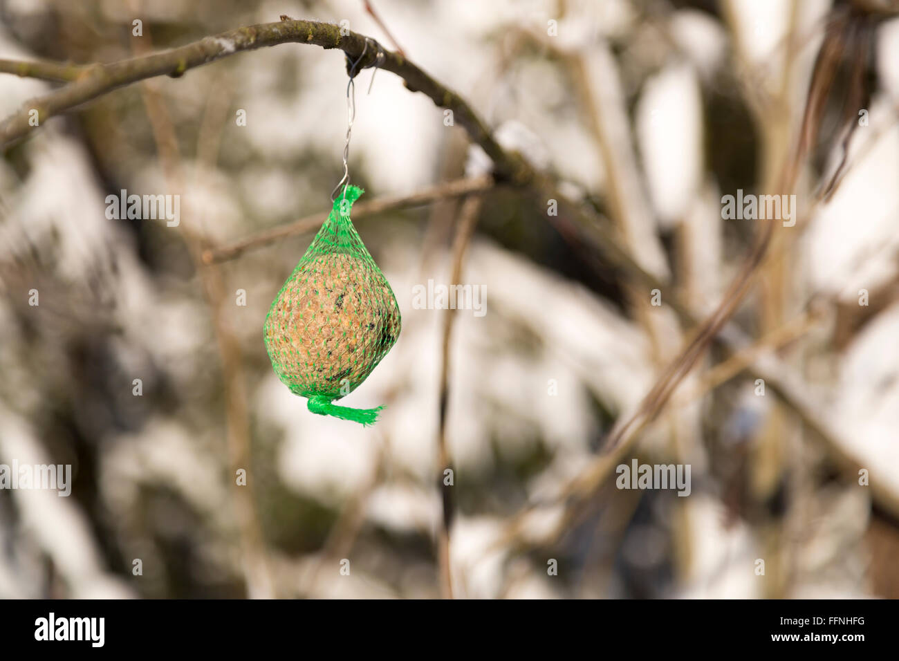 Tallow ball hi-res stock photography and images - Alamy