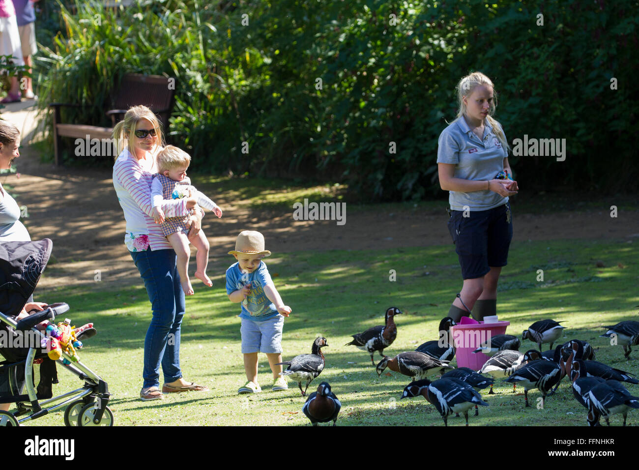 Durrell Wildlife Conservation Trust Stock Photo - Alamy