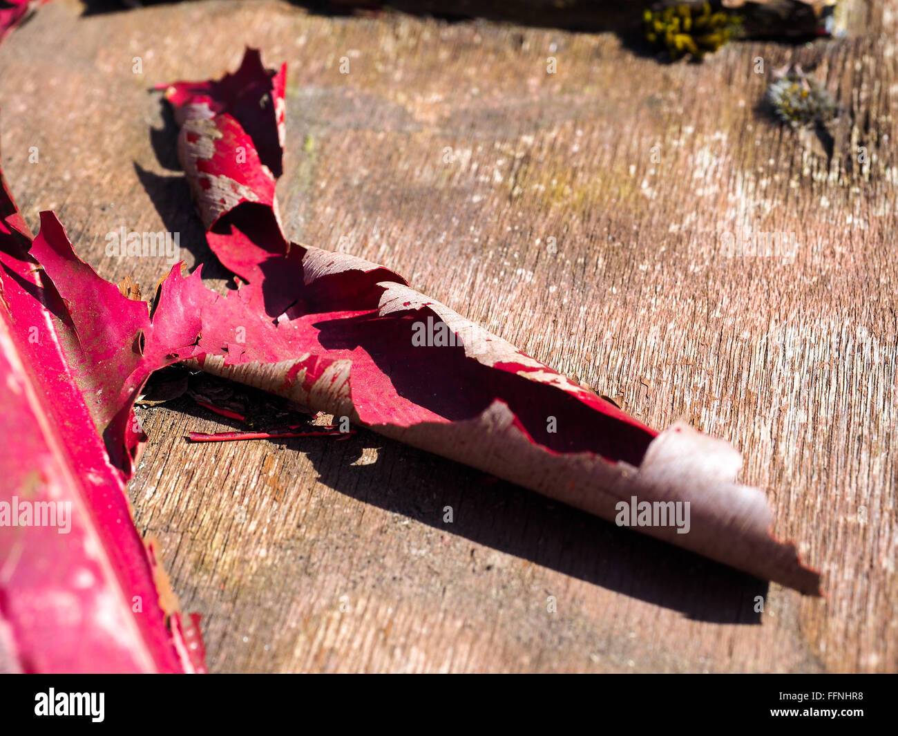 Abstract peeling paintwork on a boat in Faversham Stock Photo - Alamy