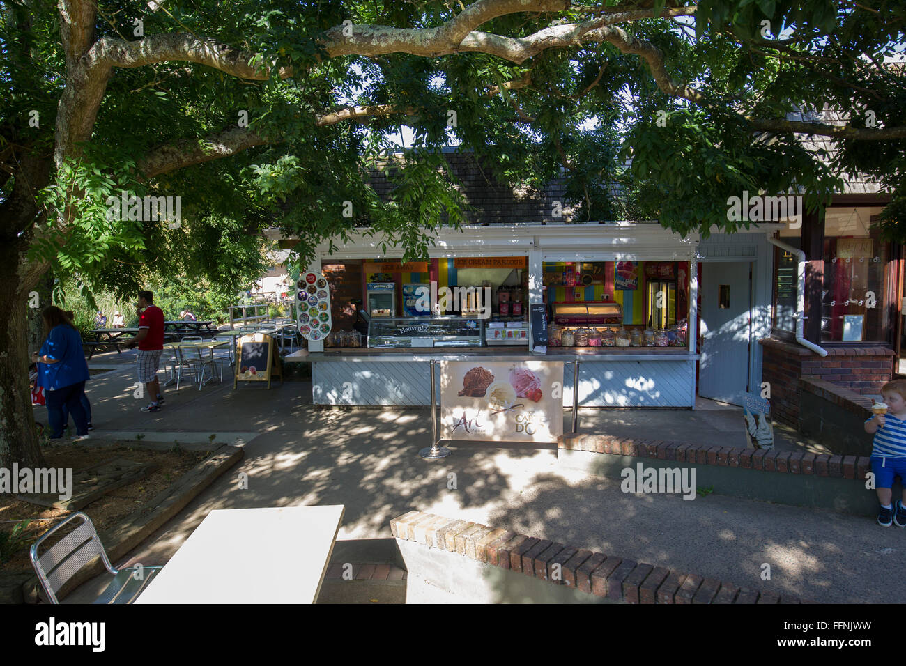 Durrell Wildlife Conservation Trust Durrell Jersey Zoo ‘Toni’s’ ice ...