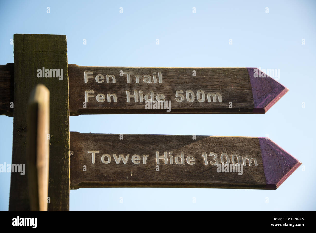 Signposts at Strumpshaw Fen RSPB reserve Stock Photo - Alamy