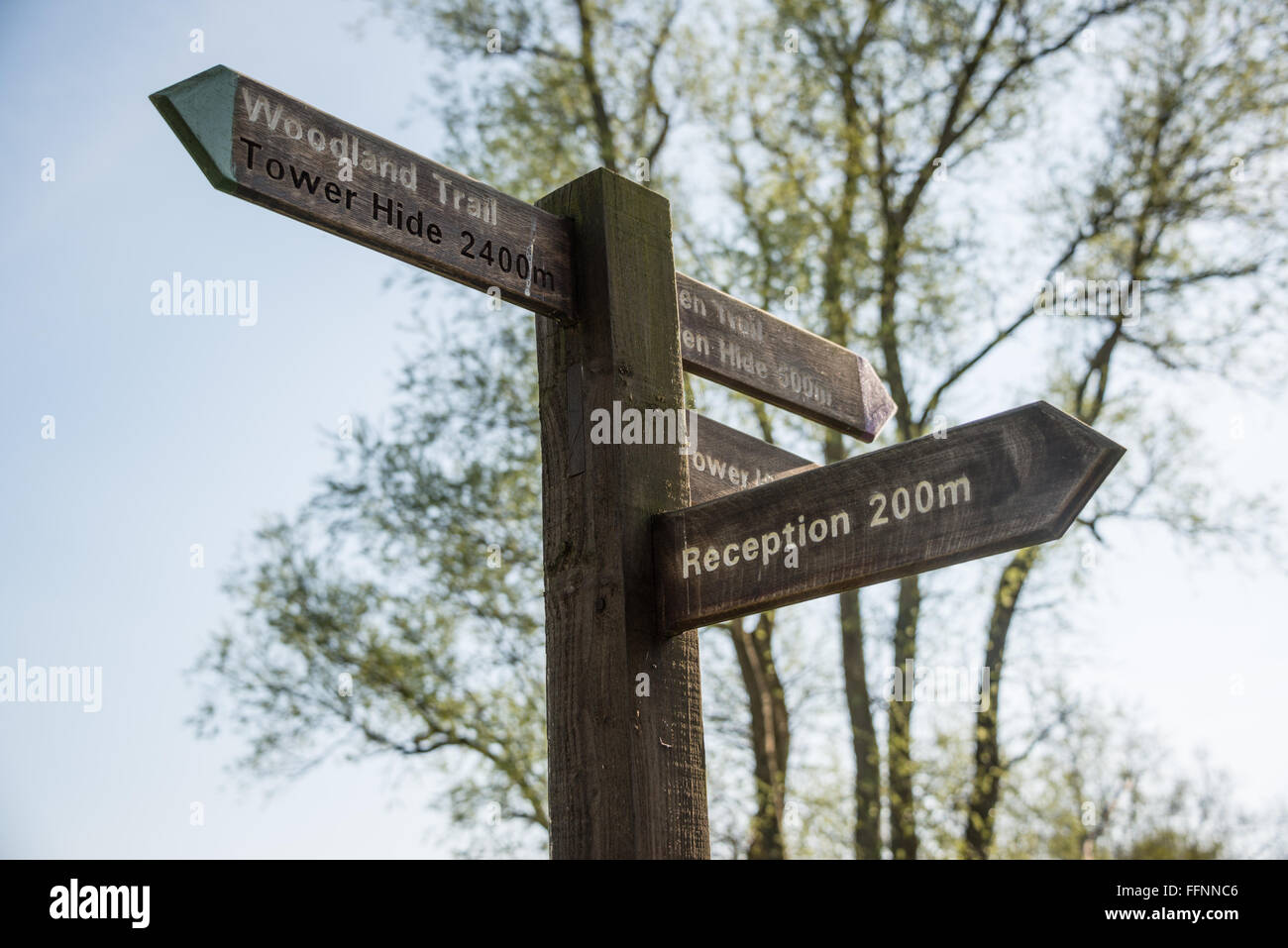 Signposts at Strumpshaw Fen RSPB reserve Stock Photo - Alamy