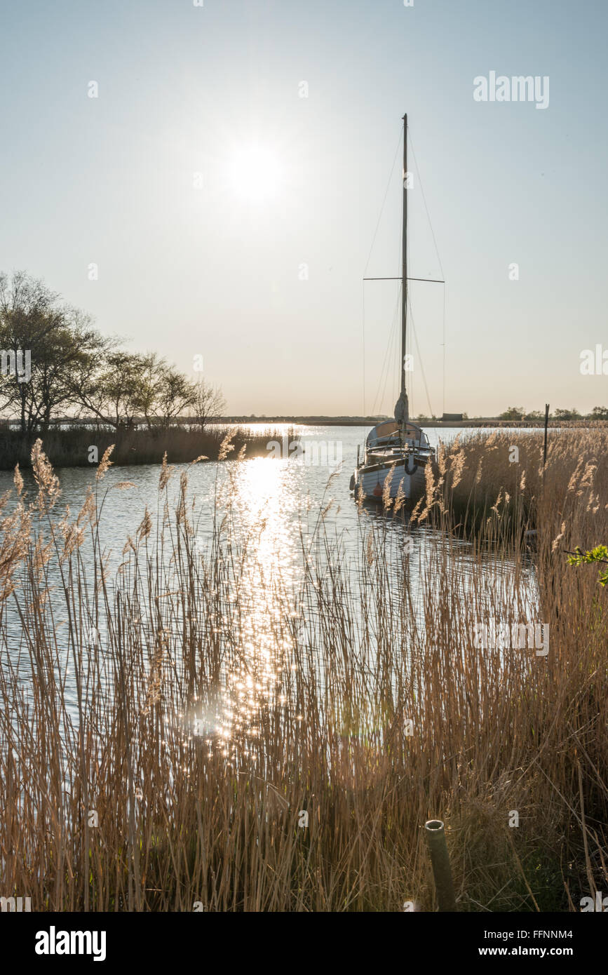 Horsey Mere, Horsey, Norfolk Broads Stock Photo - Alamy