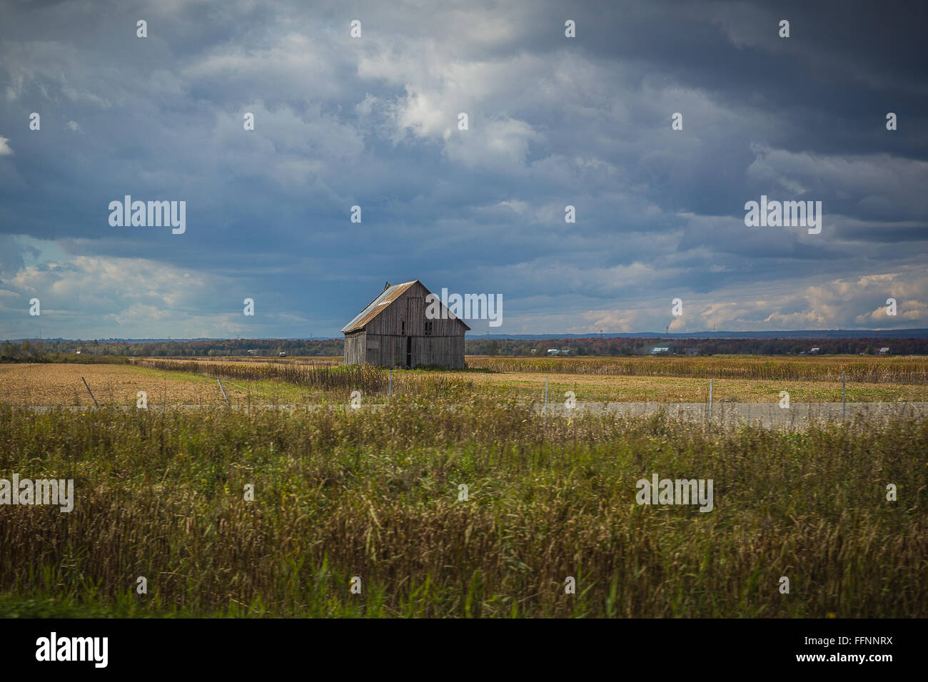 Rural scene between hi-res stock photography and images - Alamy