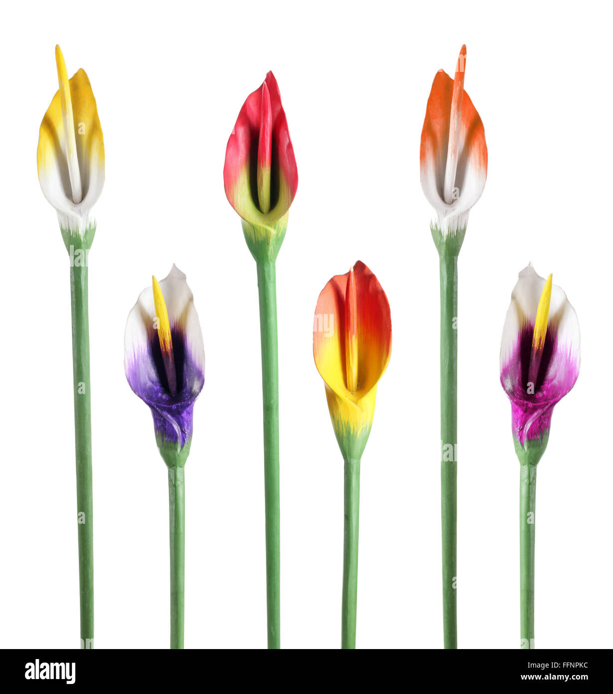 Calla lily flower arum Cut Out Stock Images & Pictures - Alamy