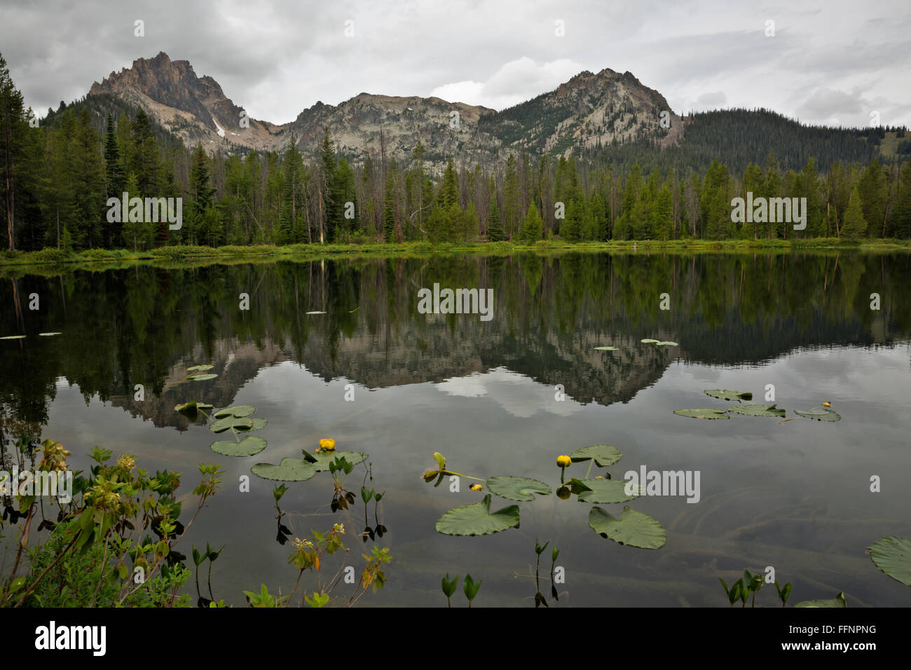 IDAHO - Lily pads in first of the Bench Lakes in the Sawtooth ...