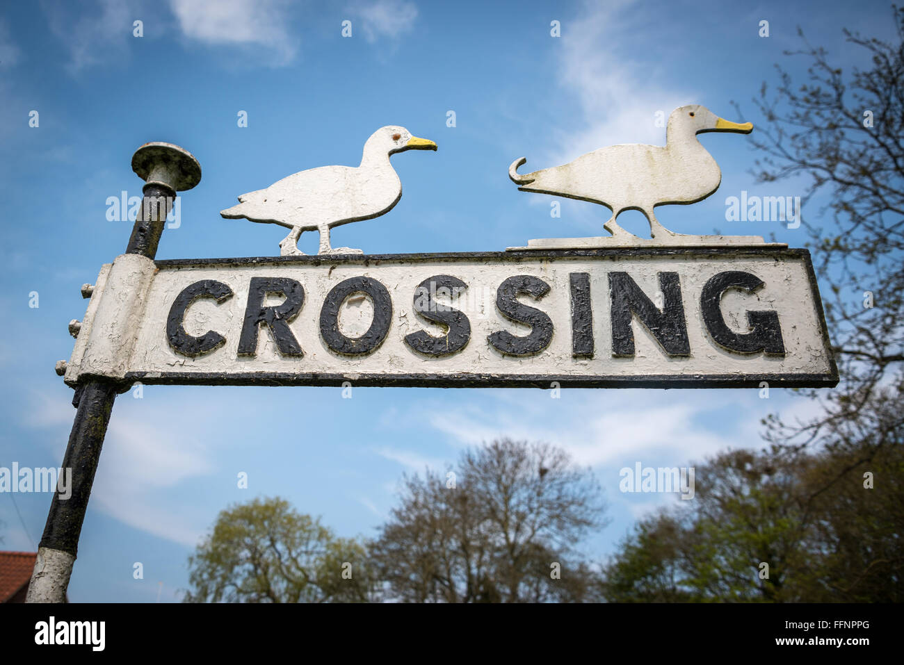 Ducks crossing sign, Norfolk Broads, Norfolk, England, UK Stock Photo ...