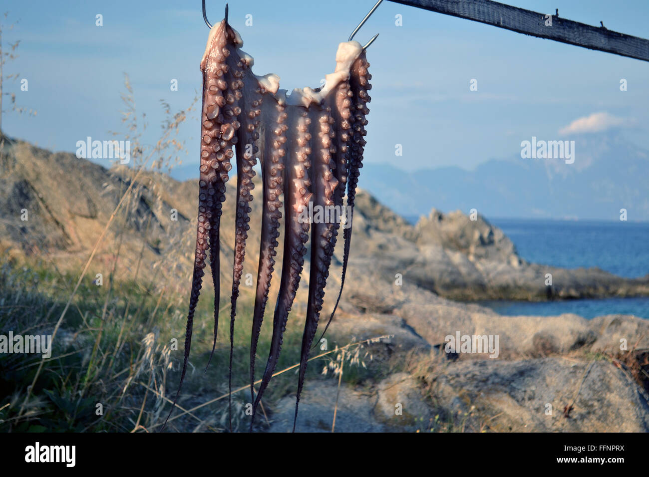 Octopus hanging to dry in a small village in Greece Stock Photo - Alamy