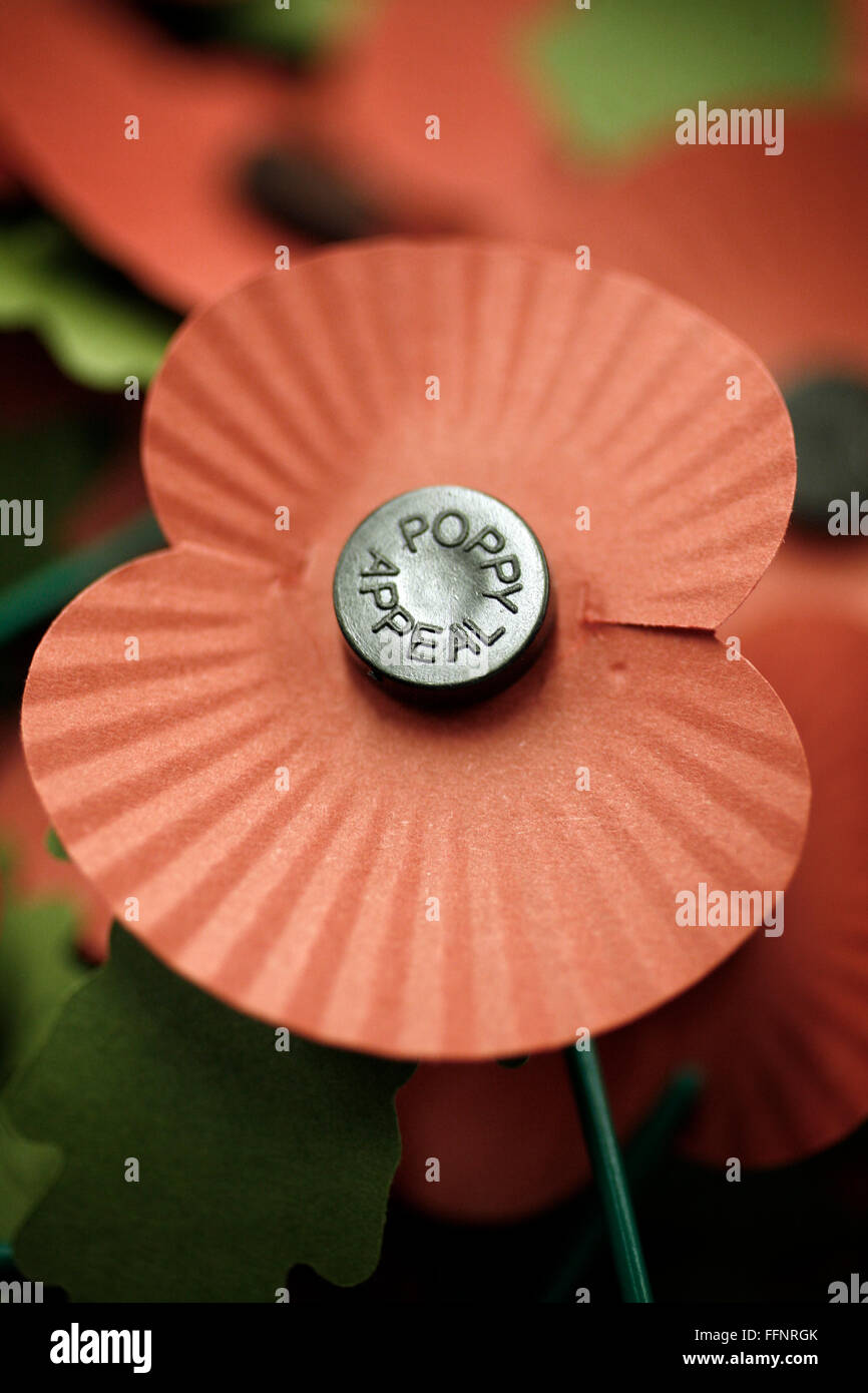 Royal British Legion Poppy Collection in Leeds, Yorkshire, UK Stock ...